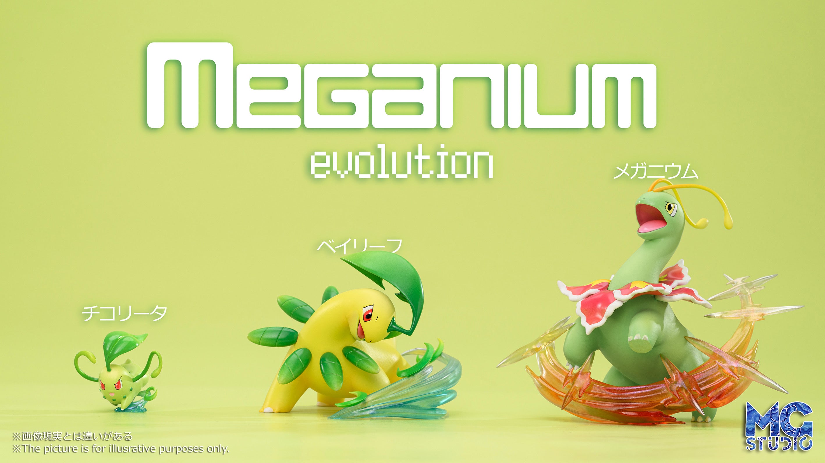 MG STUDIO – POKEMON: SCALE WORLD SERIES, MEGANIUM EVOLUTION FAMILY [IN ...