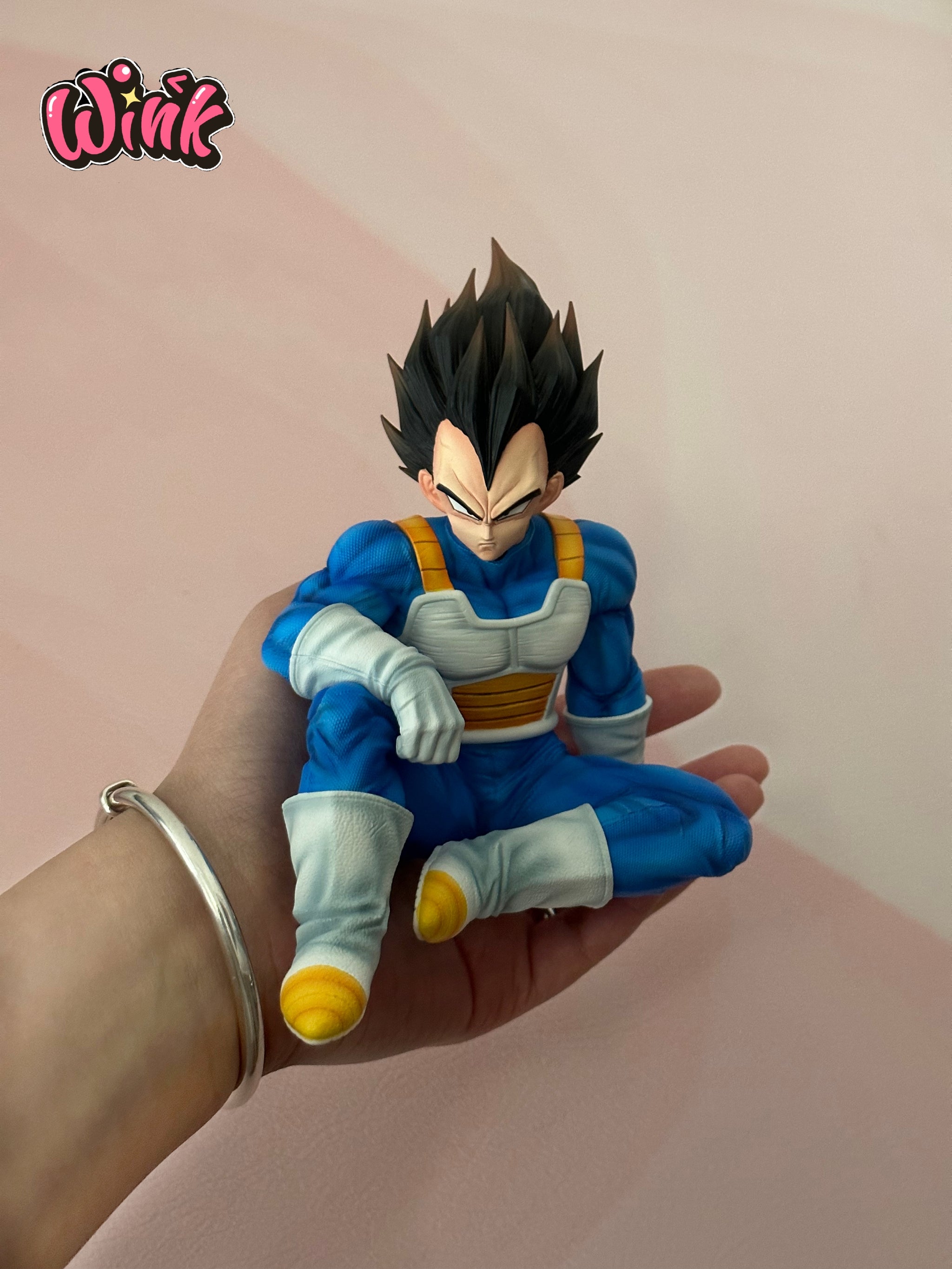WINK STUDIO – DRAGON BALL Z: SITTING SERIES 1. VEGETA [SOLD OUT] – FF ...