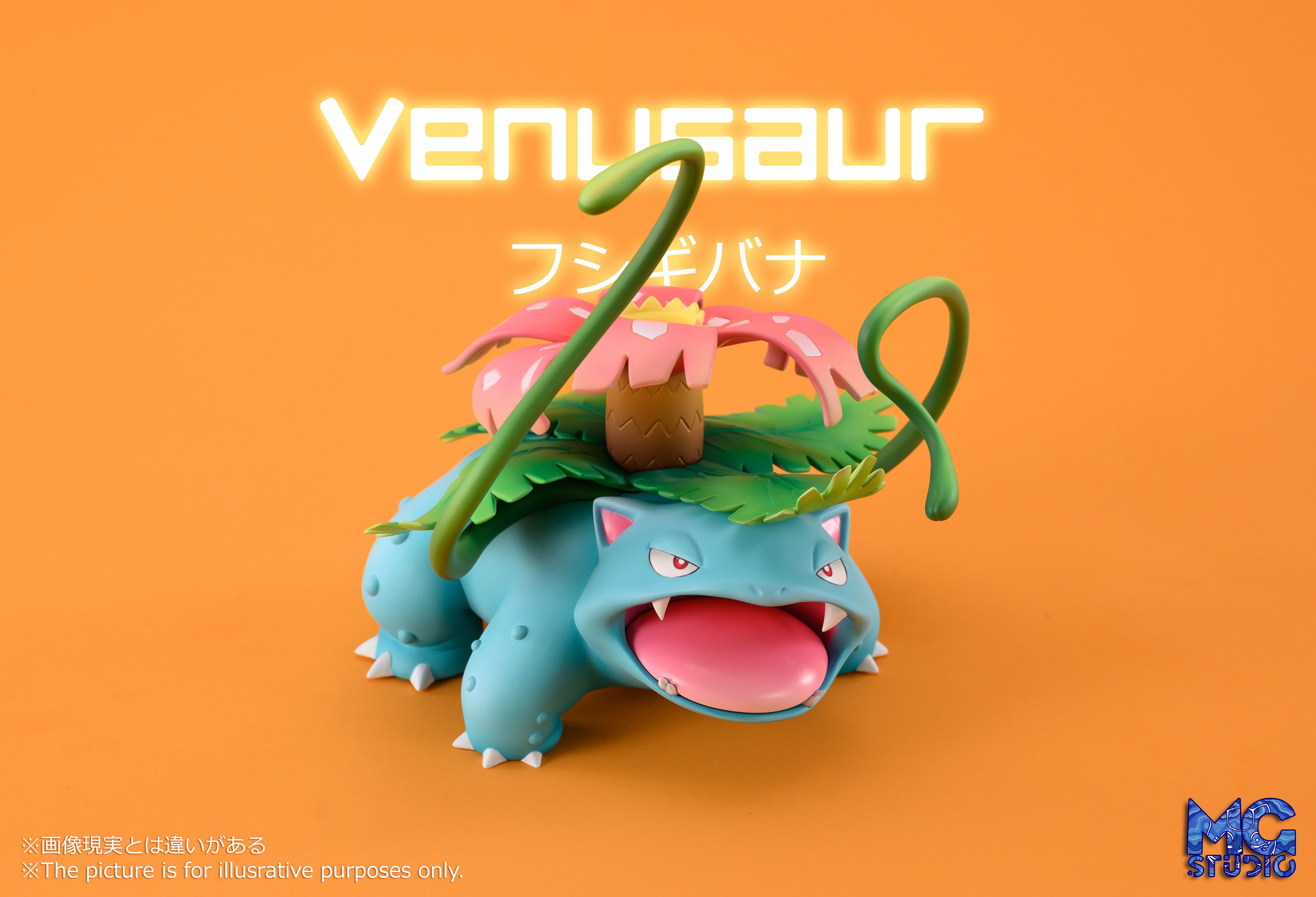 MG STUDIO – POKEMON: SCALE WORLD SERIES, VENUSAUR EVOLUTION FAMILY [SO ...