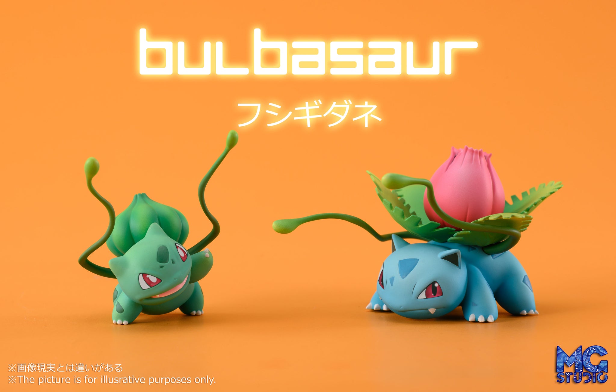 MG STUDIO – POKEMON: SCALE WORLD SERIES, VENUSAUR EVOLUTION FAMILY [SO ...