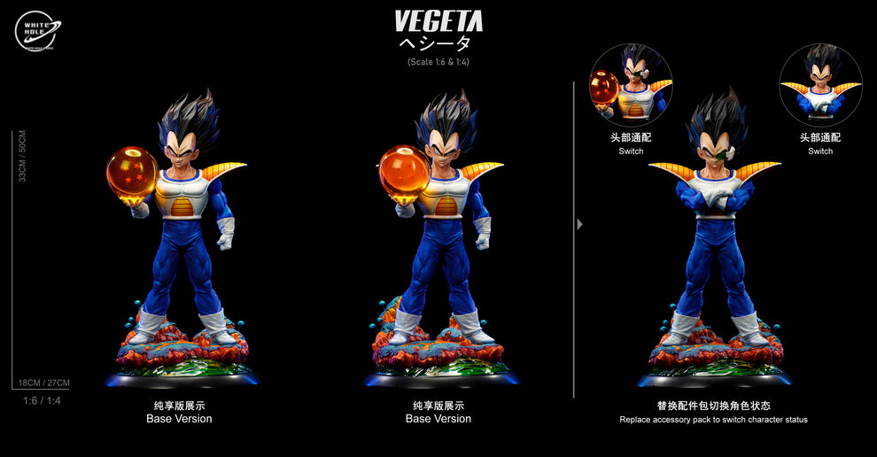 WHITE HOLE STUDIO – DRAGON BALL Z: NAMEK SERIES, FULL BODY BATTLE ARMO ...
